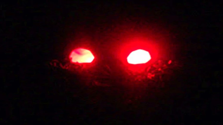 i HATE sharook | Fandom