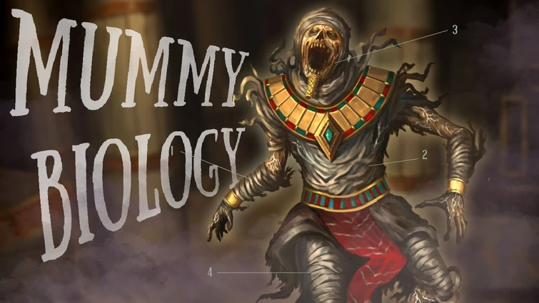 A deep look into Mummy biology | Fandom