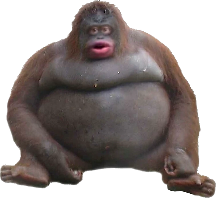 I made a solo project add some bots | Fandom