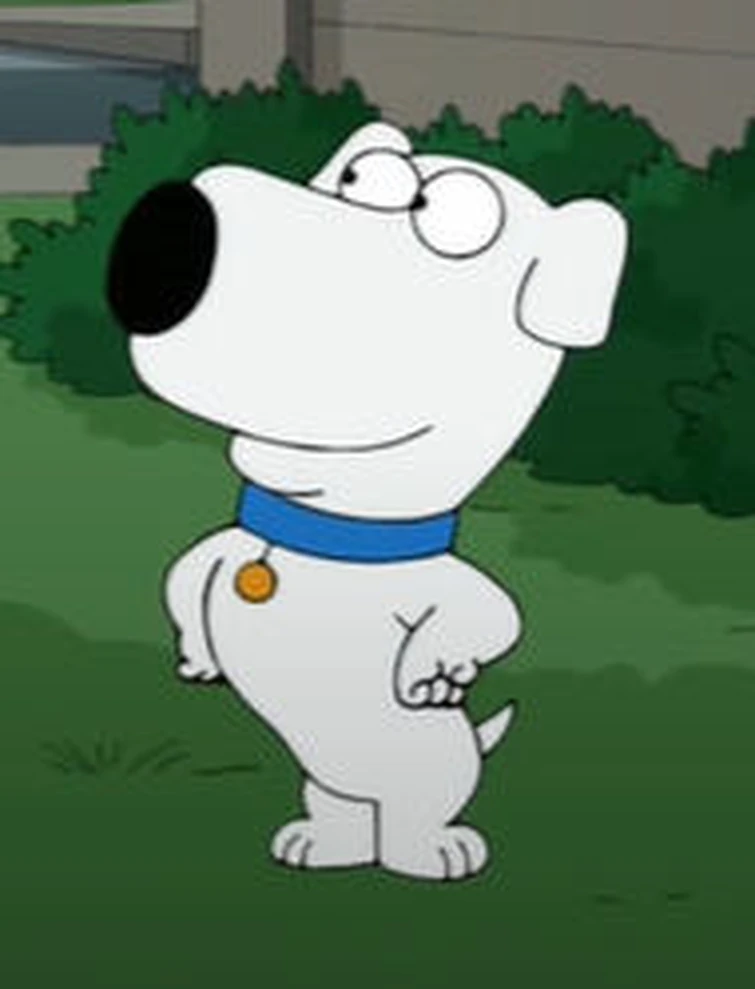 (Funny Gag) Is Scrappy Brian a Scrappy? | Fandom