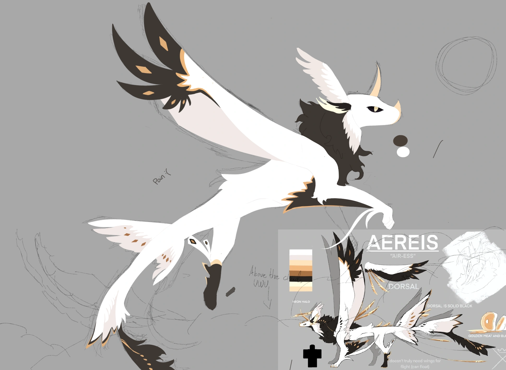 Why are aereis so complicated efftdeddedsedrftg | Fandom