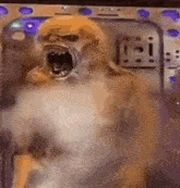 Me genuinely tweaking after seeing a cool object oc design | Fandom