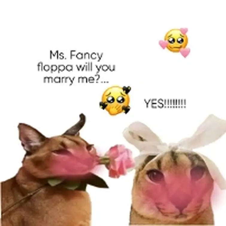 You have been invited to a wedding! | Fandom