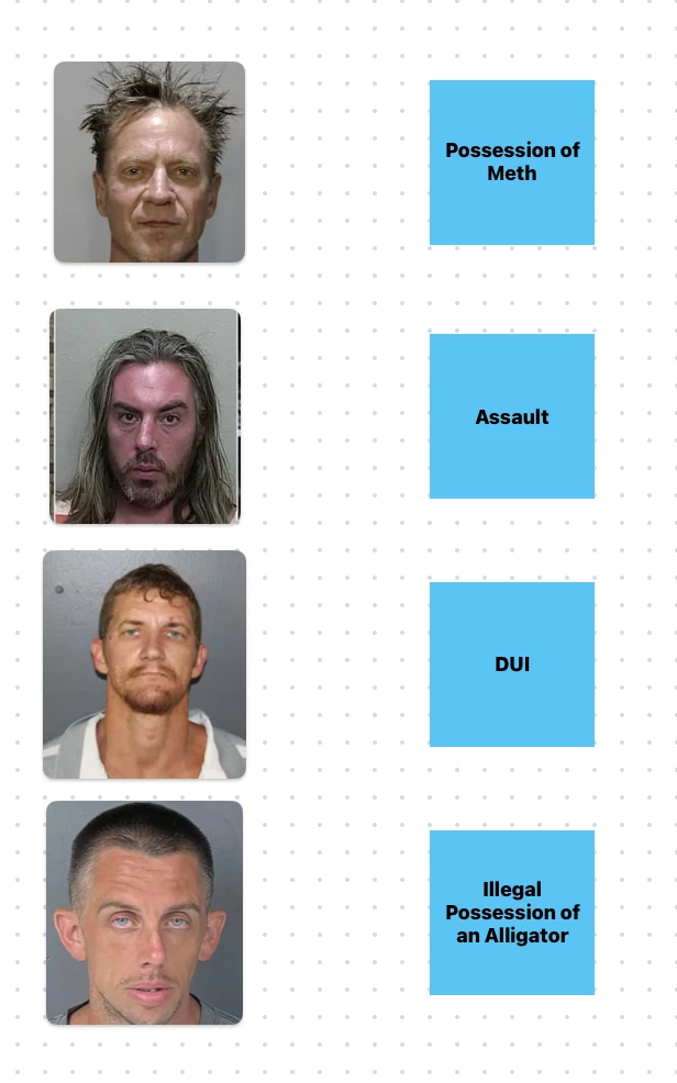 Match the mugshot to the crime | Fandom