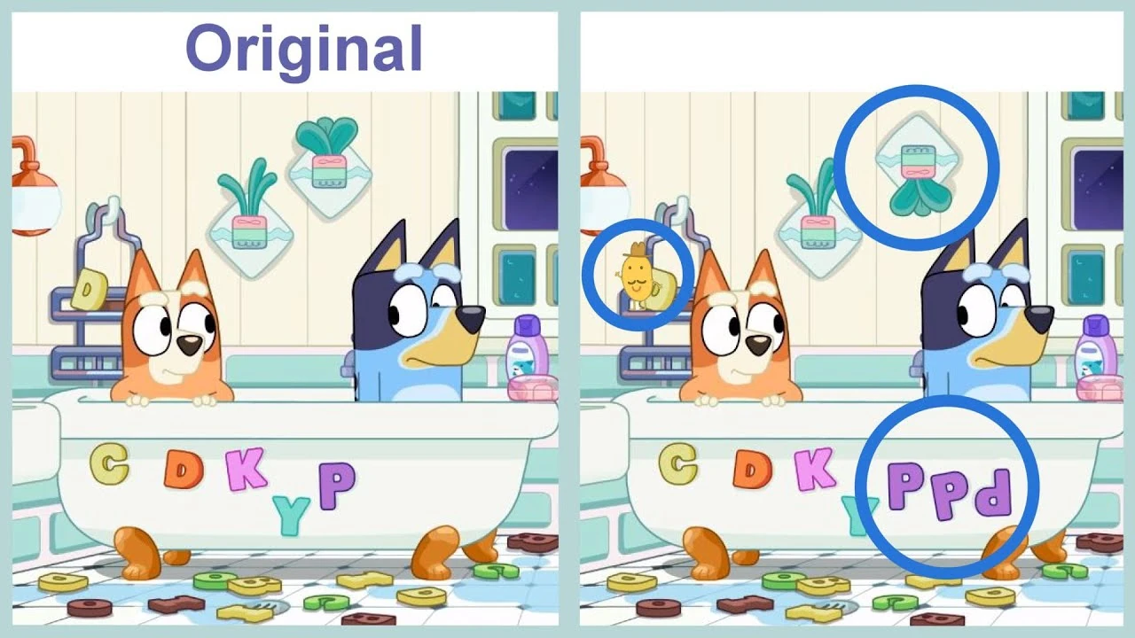 Why do bluey have 5000 letter magnets (is their gonna be an episode ...