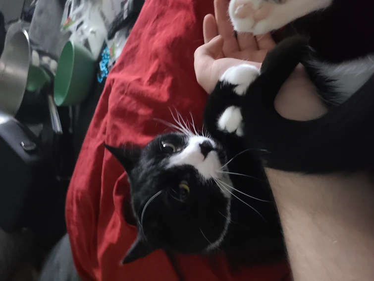 I think he angy | Fandom