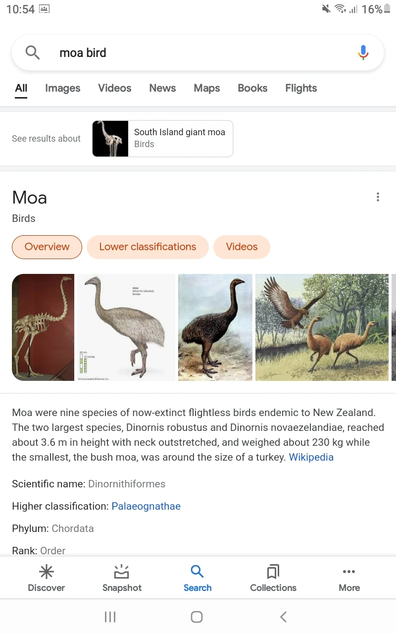 MOA LOOK!! 😂💀 | Fandom