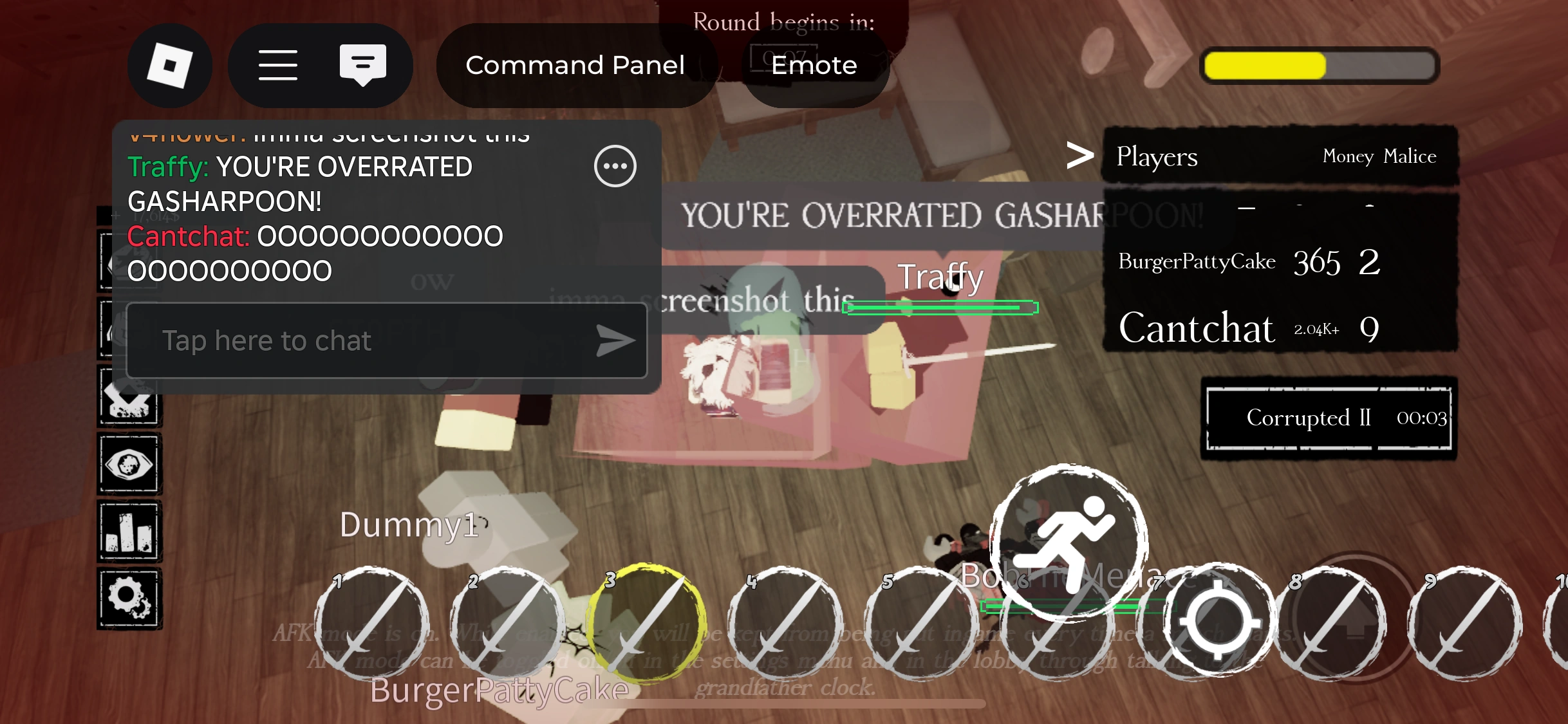 priv server shenanigans | Fandom