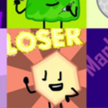 BFB Tournament 19: Loser vs Marker who do you like the most | Fandom