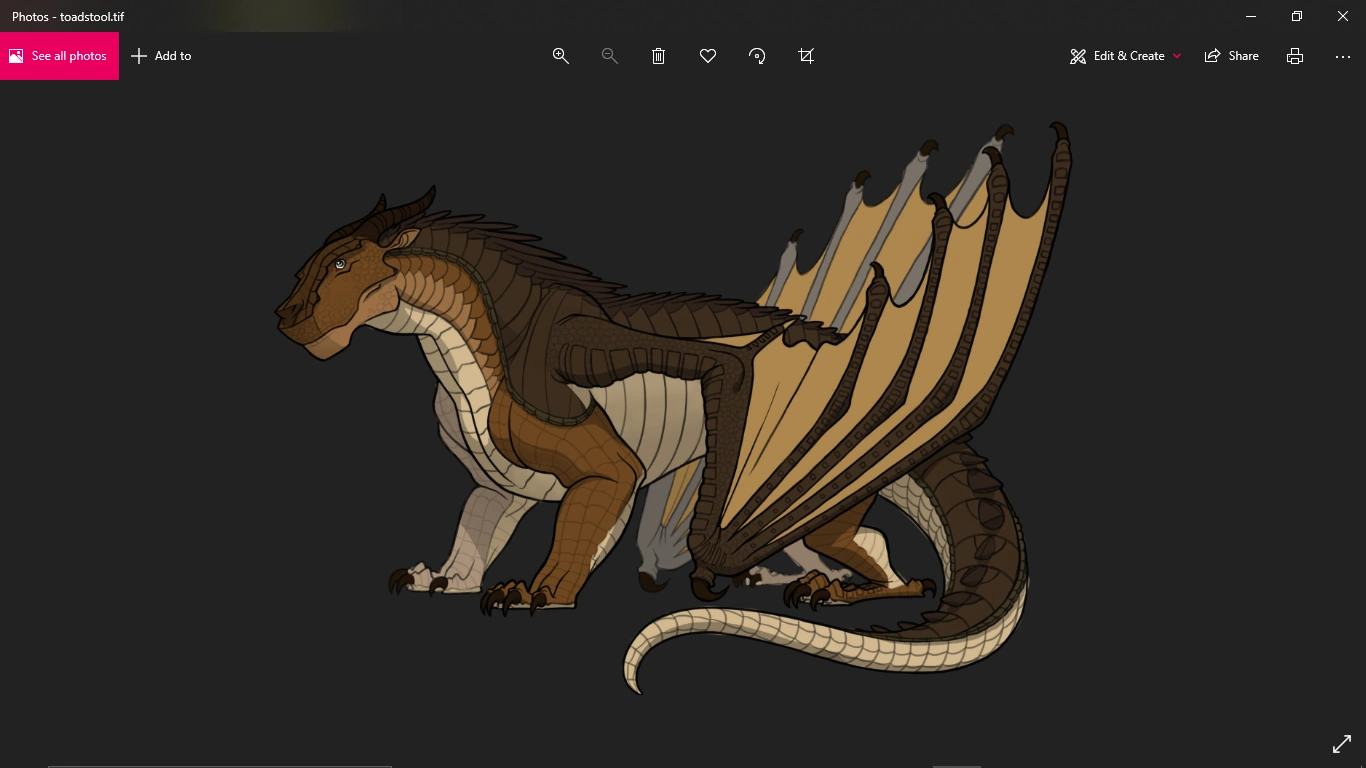 basefill + question | Fandom