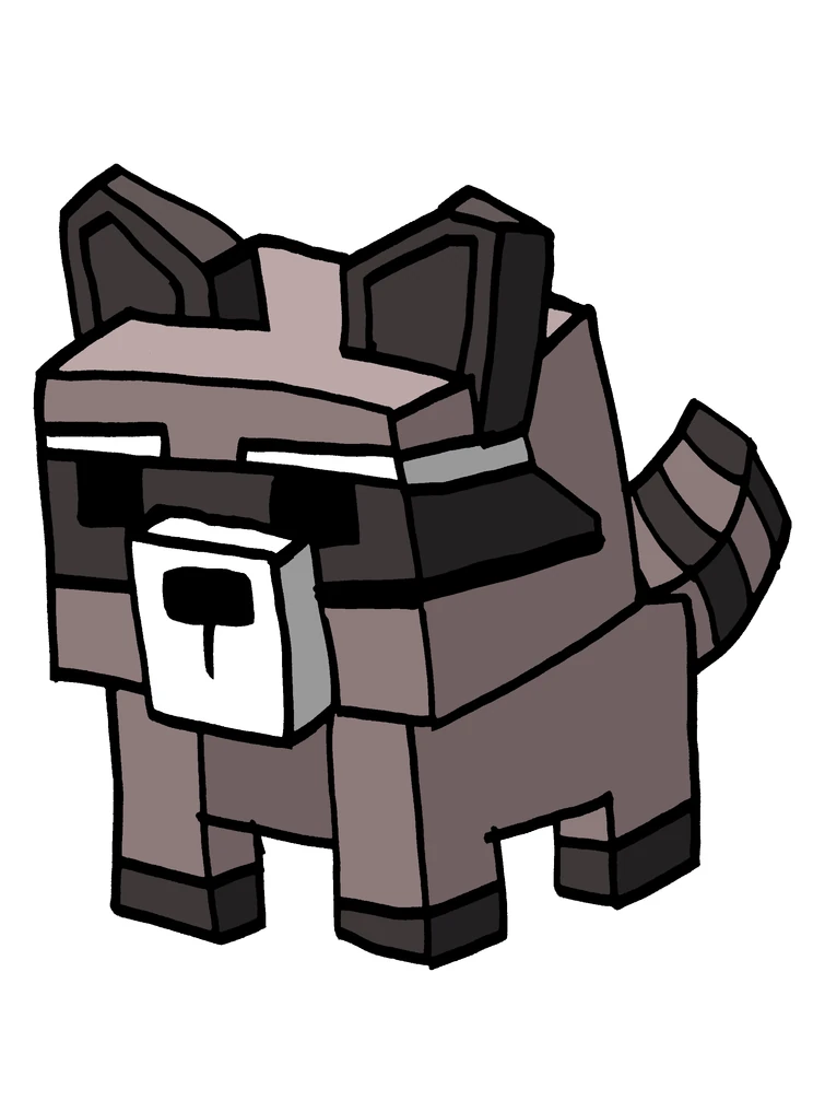 My drawing of a raccoon | Fandom