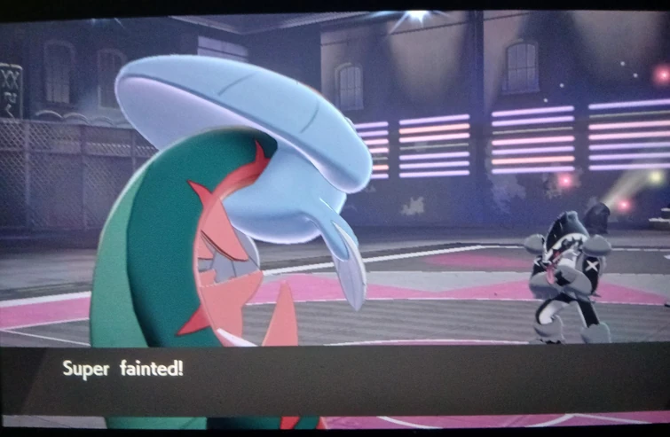 The Pokémon fandom playthrough Back. Of course, it had counter! Wait ...
