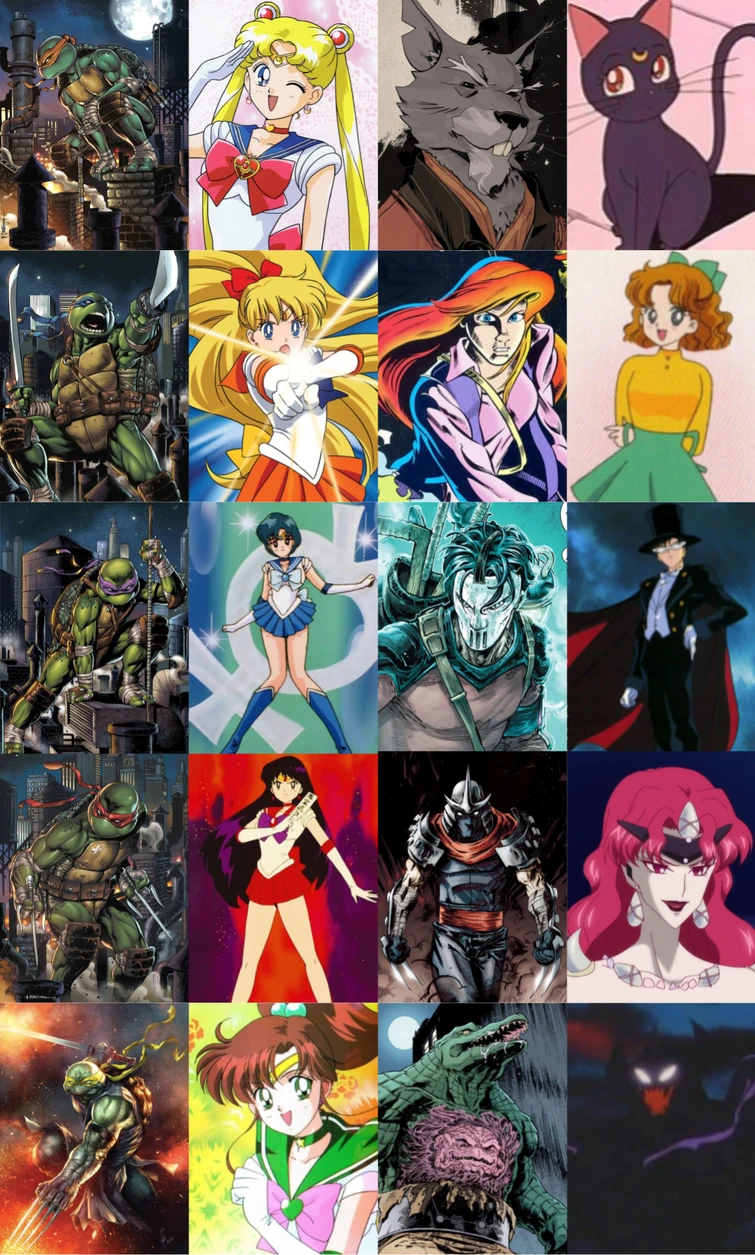 TMNT x Sailor Moon | Fandom