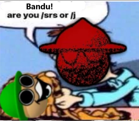 are you /srs or /j | Fandom