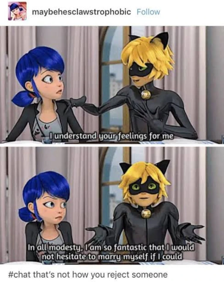 Miraculous Marichat Meme Monday | Fandom
