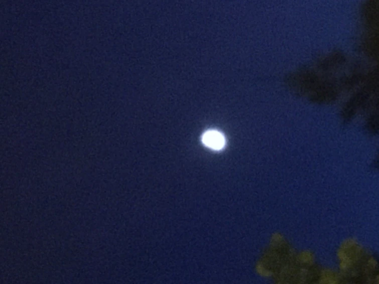 The moon looks weird tonight | Fandom