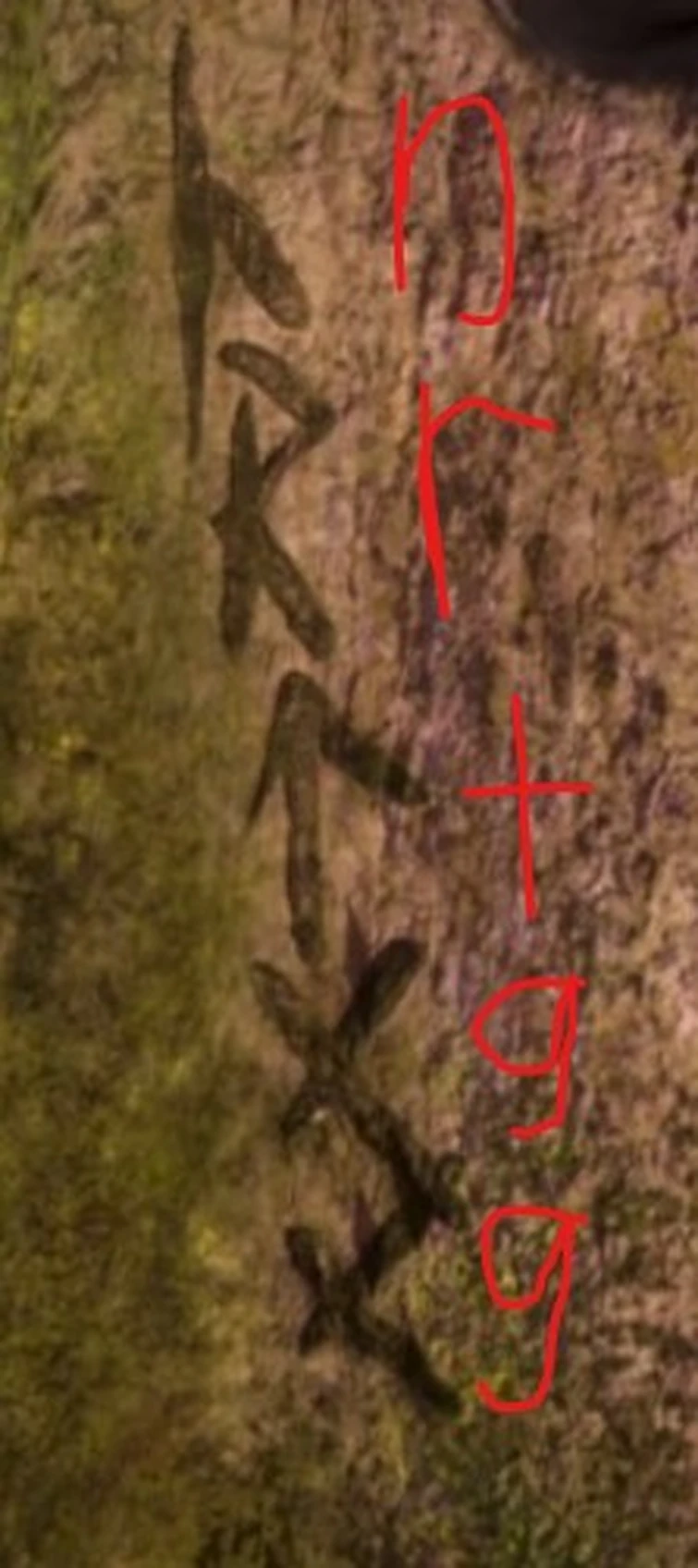 Runes in the Nine Realms | Fandom