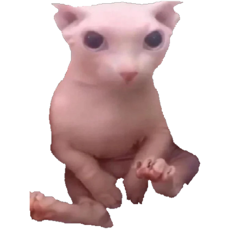 Discuss Everything About Find The Binguses Wiki | Fandom