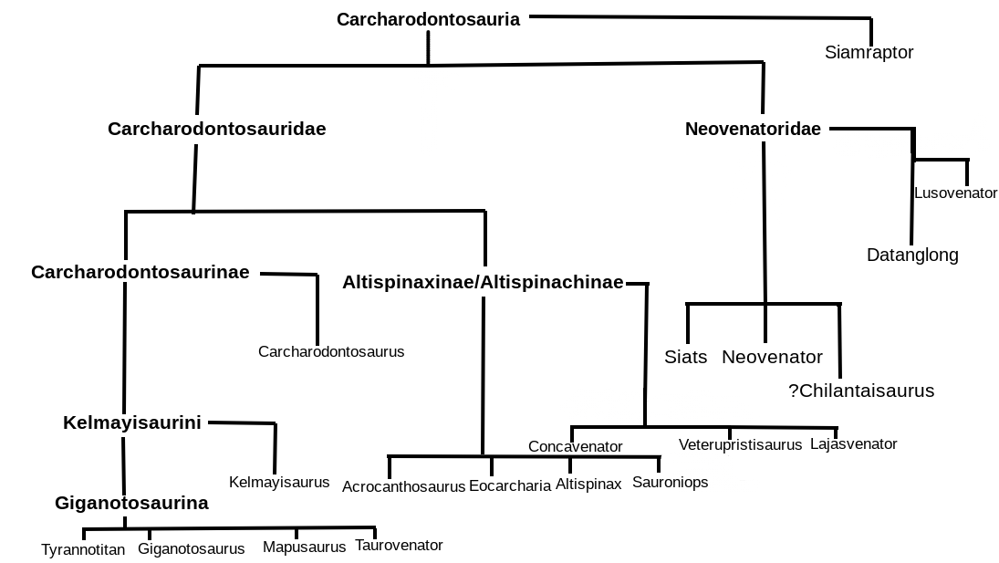 Carcharodontosaur family tree | Fandom