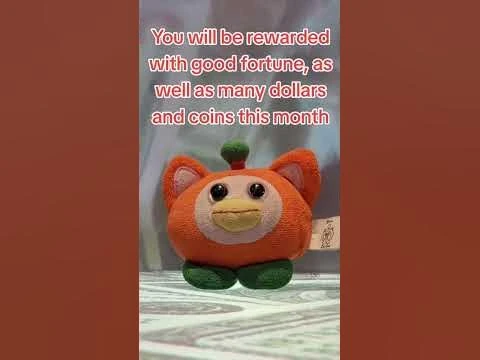 Rocc this for u | Fandom