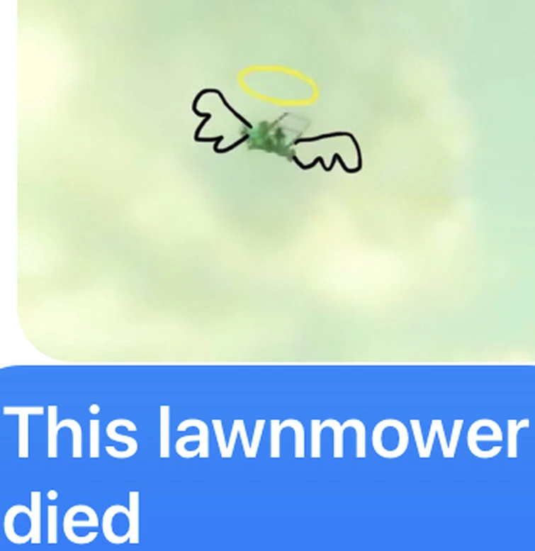 random shit!!!!!!!! | Fandom