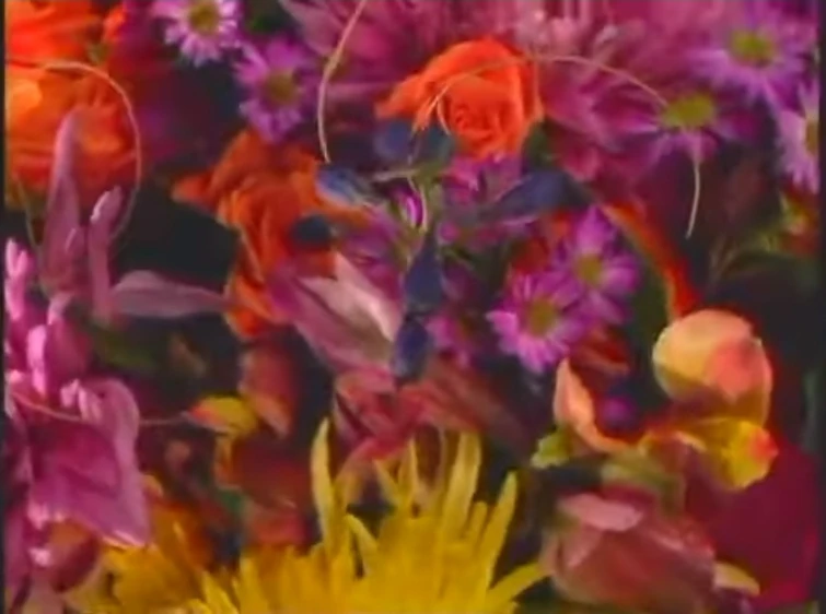 What is The Source Of The Footage | Fandom