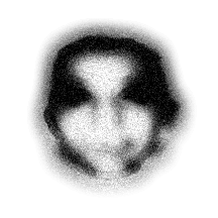 fanmade entity | Fandom