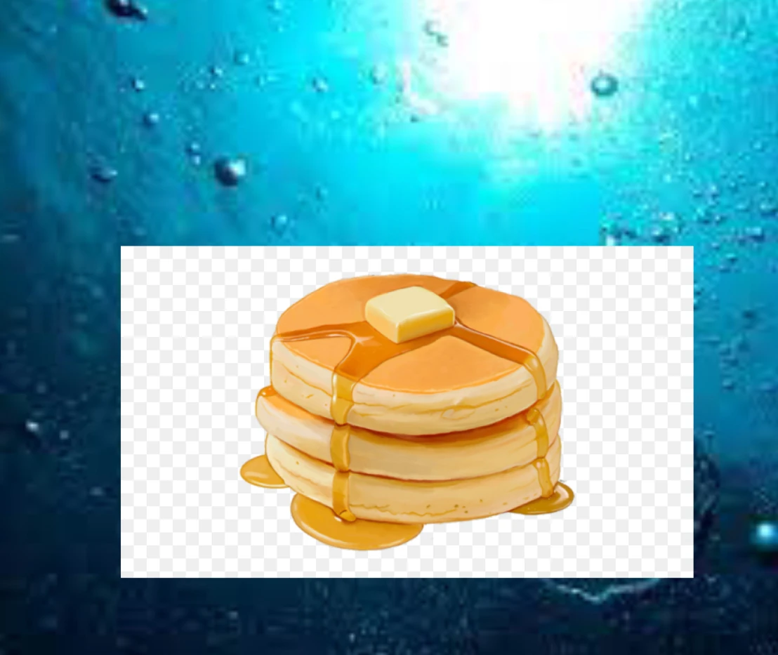 The wise sea pancake wishes you happiness | Fandom