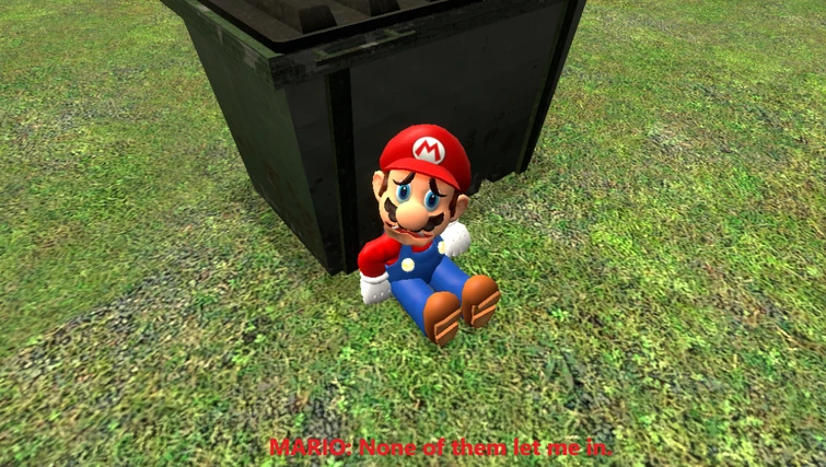 Mario the Homeless Man | Fandom