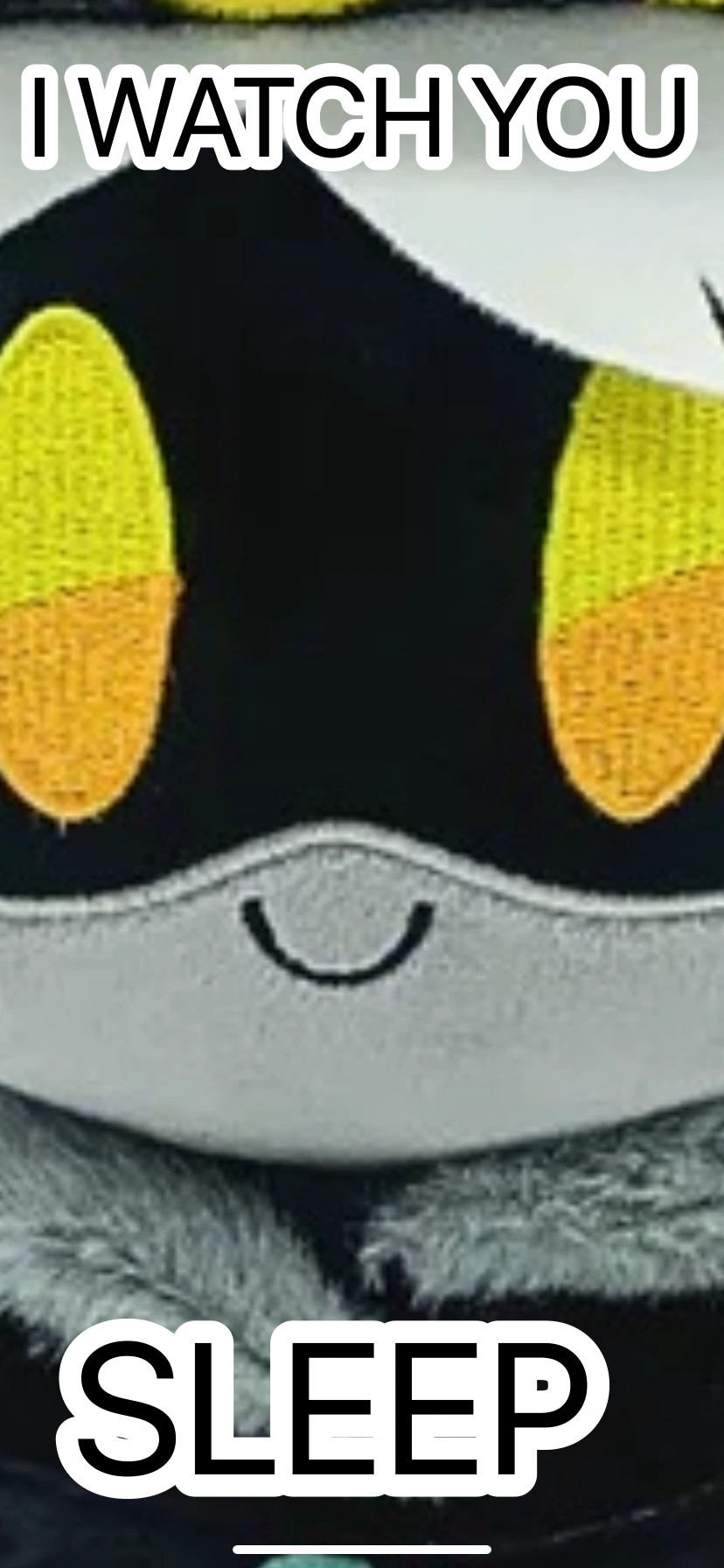 I WATCH YOU SLEEP | Fandom