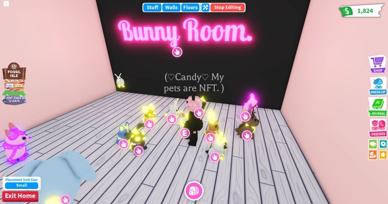 Help does anyone have any ideas for this room?? | Fandom