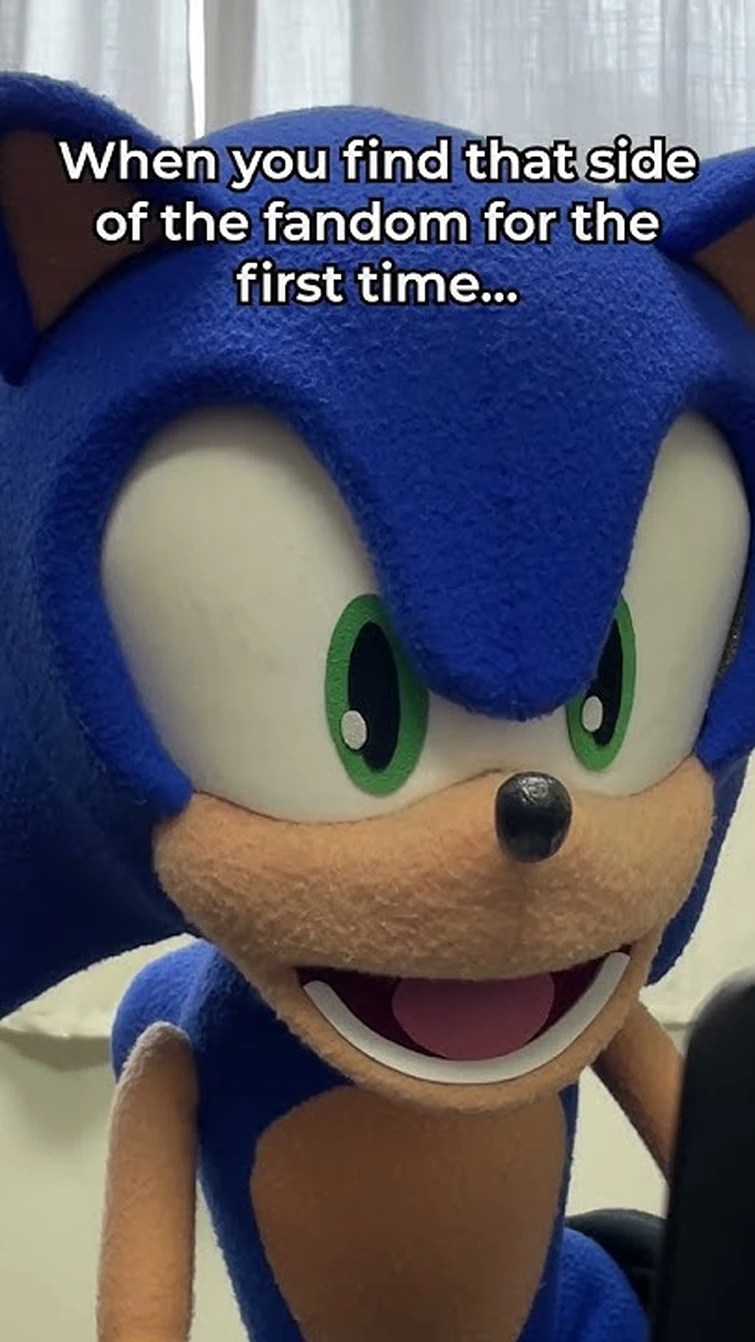 Discuss Everything About Sonic Wiki Zone | Fandom