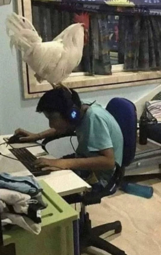 Wiki overhaul | Fandom