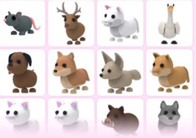 Discuss Everything About Adopt Me Wiki | Fandom