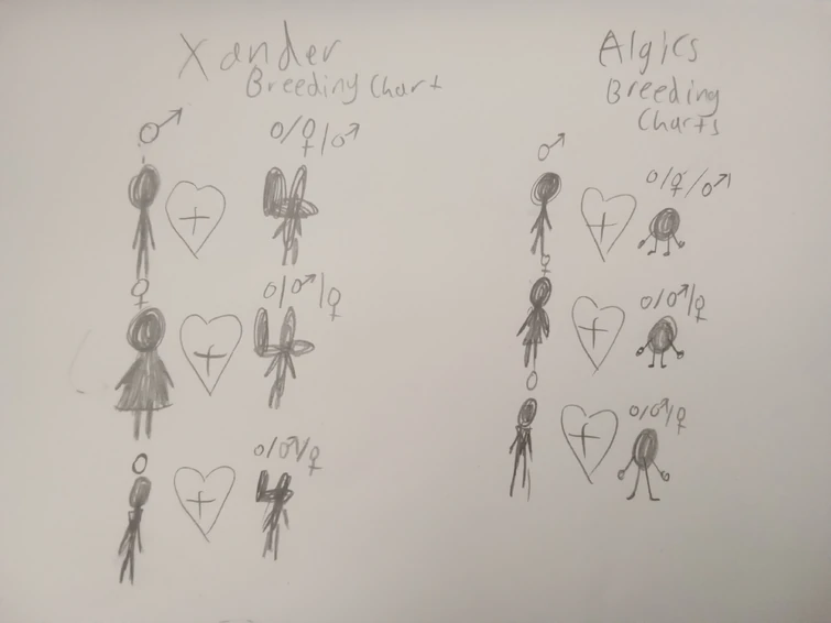 Algebralien and Object Human Hybrid bio I made lmao | Fandom