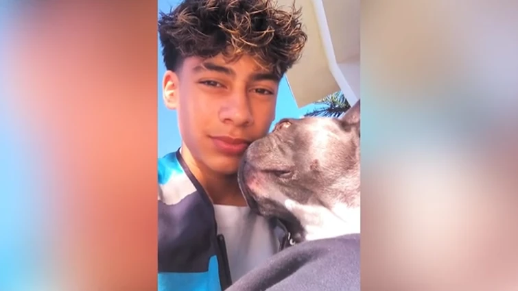 Give Your all more king ferrans | Fandom