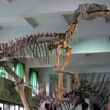 (Who do you like more) 2022 Archosaur Cup - Preliminary Round 1/3 | Fandom