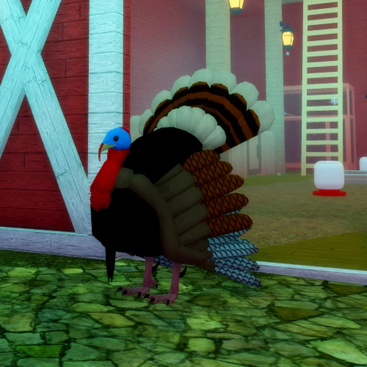 Discuss Everything About Feather Family Wiki | Fandom