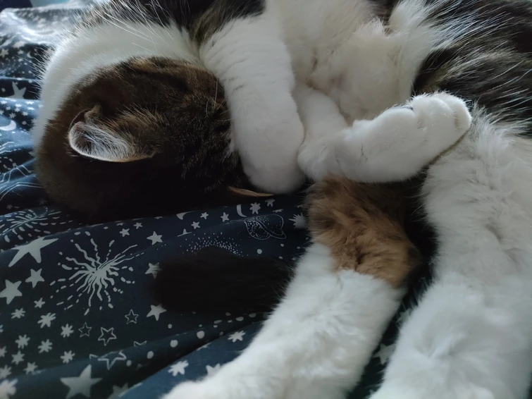 WHY is he eepy😂 | Fandom