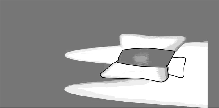 Secret Slow Selene image found in GoBB 3 | Fandom