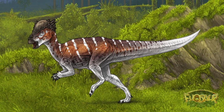 I finally found the Evosaur website again after 3 years | Fandom