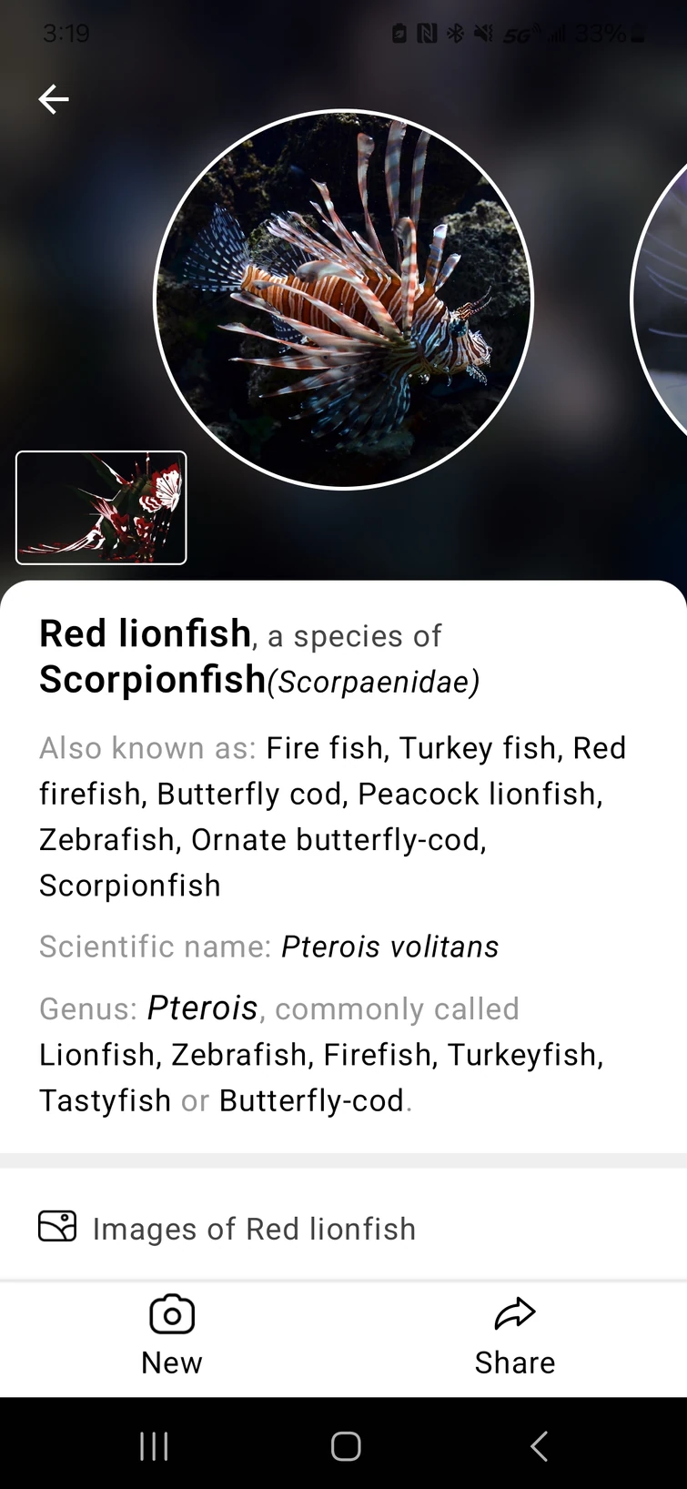 Searching animal species with cos creatures | Fandom