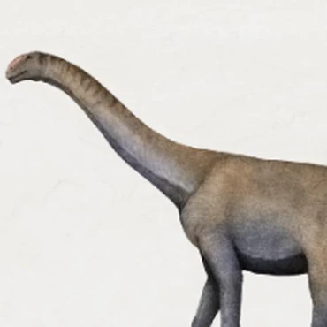 Discuss Everything About Dinopedia | Fandom