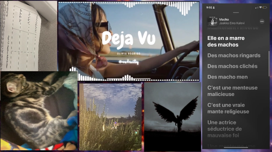 did the trend | Fandom