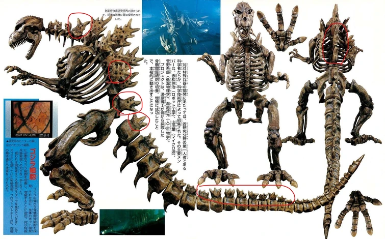 Okay, what's the story on Godzilla's Dorsals? | Fandom