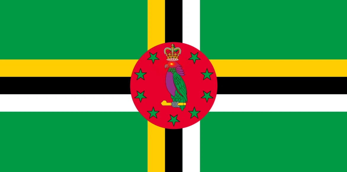 What do you think of my design of this flag? | Fandom