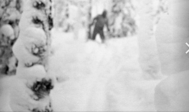 Discuss Everything About Cryptid Wiki | Fandom