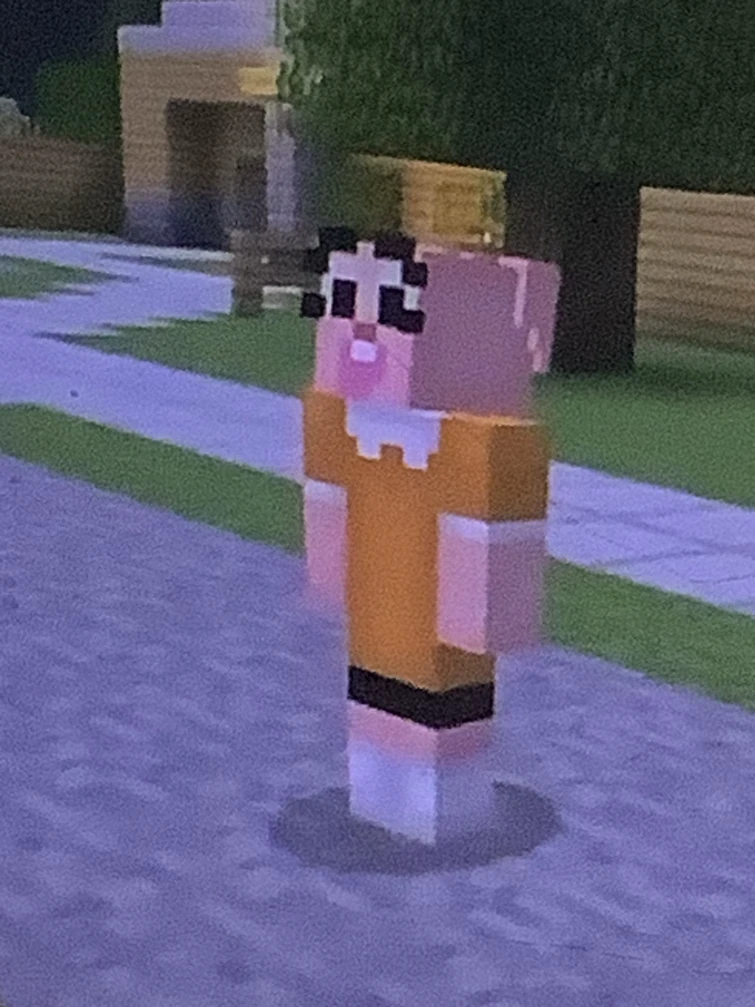 Anais watterson in Minecraft | Fandom