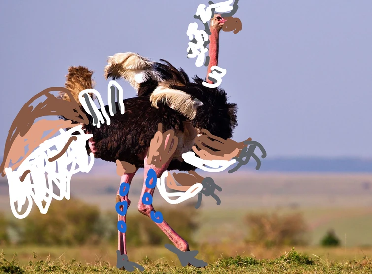Therokis X Ostrich!!! | Fandom