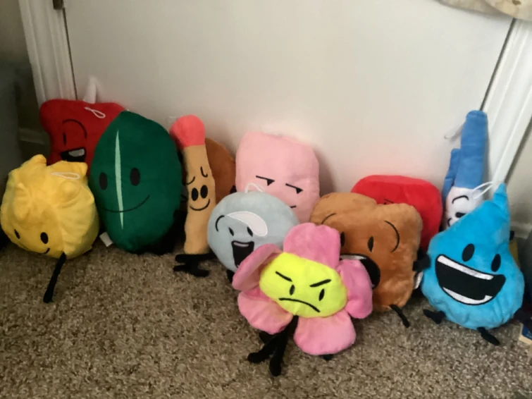 i wish i had the official bfdi plushies | Fandom